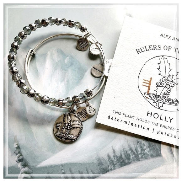 Alex and Ani | Jewelry | Rare Alex Ani Mystic Magical 25 Holiday Set ...